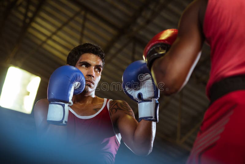 Two Male Athletes Fight in Boxing Ring Stock Image - Image of fighter ...