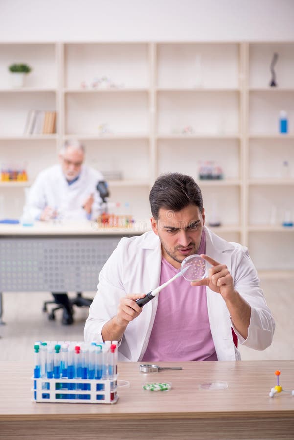 Two Male Chemists Working at the Lab Stock Image - Image of dish ...