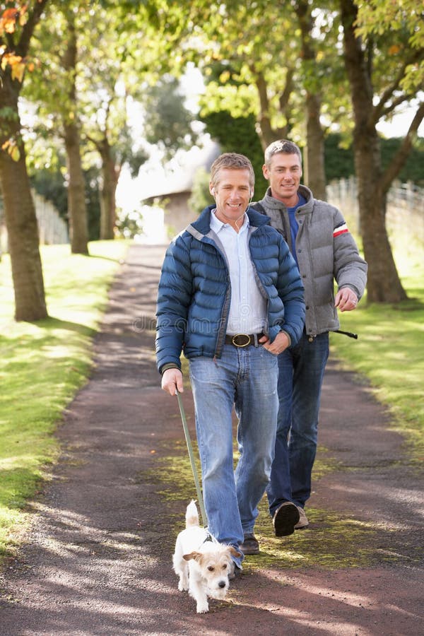 Two Male Friends Walking Dog Outdoors Stock Image - Image of friends ...