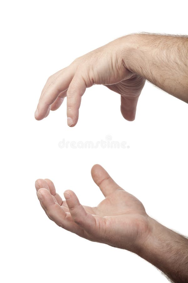 293 Two Human Hands Holding Something Stock Photos - Free & Royalty ...