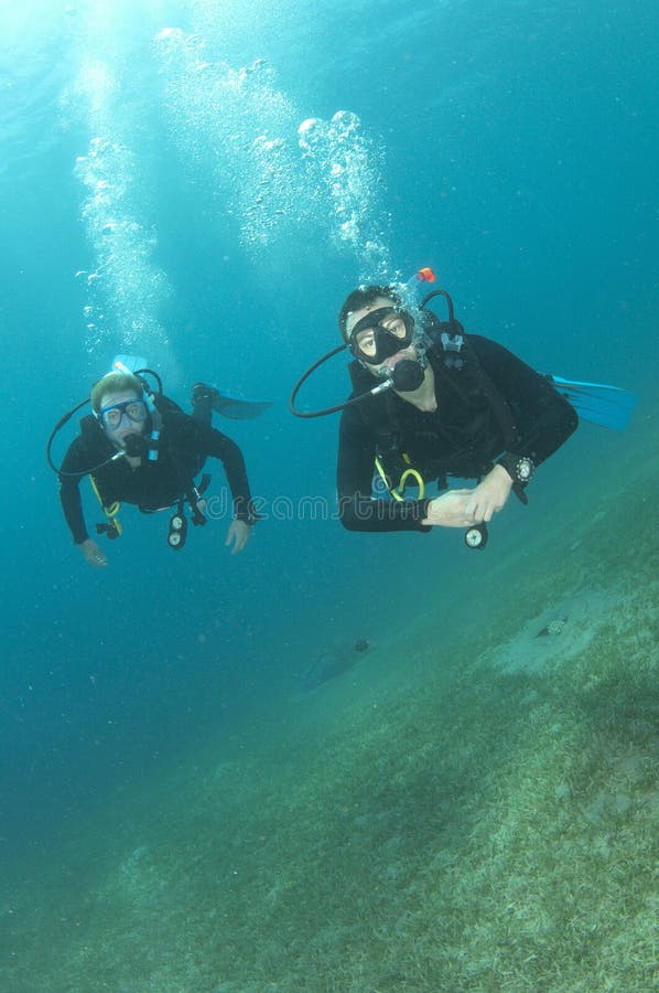 Two male scuba divers stock image. Image of egypt, marine - 24389017