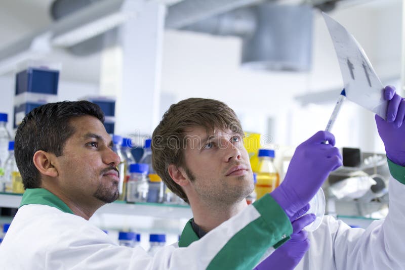 Two Male Students Studying Data Sheet Stock Photo - Image of busy ...
