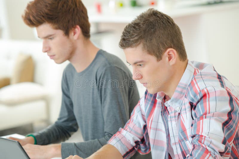 Two Male Students Using Laptops Stock Image - Image of student, male ...