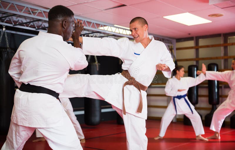 Two Man Working in Pair, Mastering New Karate Moves Stock Photo - Image ...