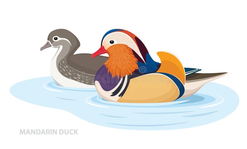Water Swim Stock Illustrations – 132,735 Water Swim Stock Illustrations ... Water Swim Stock Illustrations – 132,735 Water Swim Stock Illustrations ...