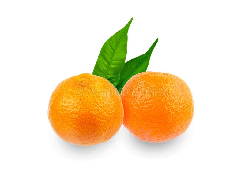 Two Mandarin with Two Leaves on a White Background Close-up Stock Image ...