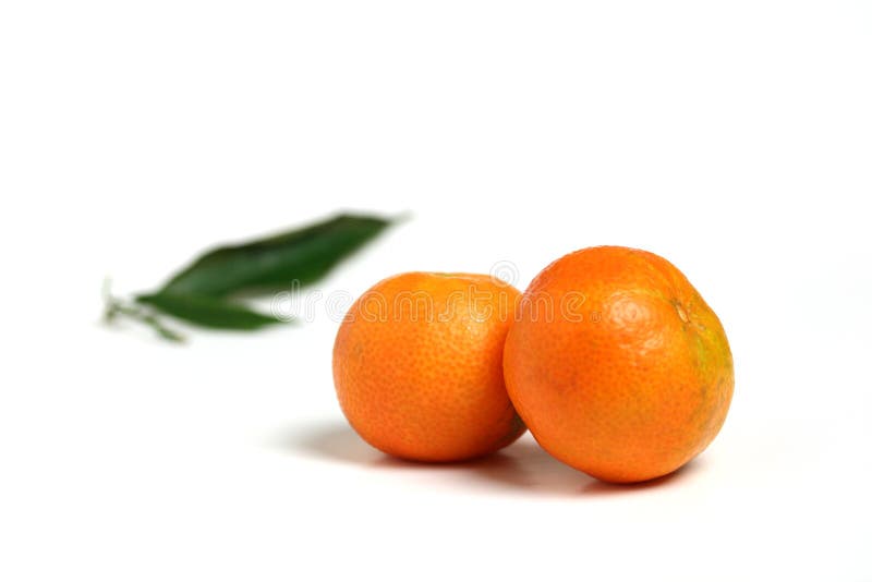 Two mandarins stock image. Image of green, leaf, leaves - 17573843
