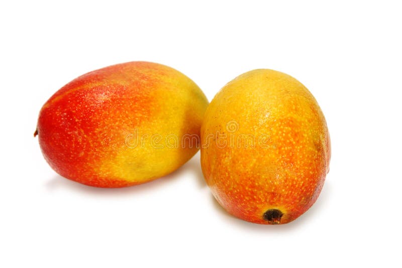 Mangoes stock image. Image of exotic, tropical, taste - 4418425