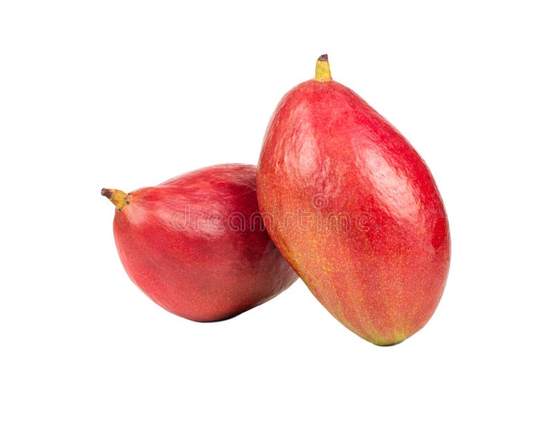 Two mango fruit stock photo. Image of yellow, studio - 65970070