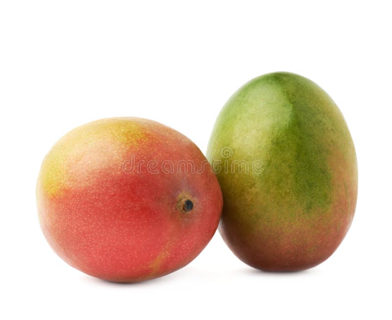 Two mango fruits isolated stock image. Image of dessert - 55776091