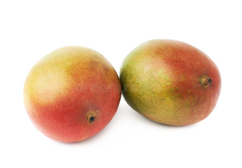 Two mango fruits isolated stock image. Image of fruit - 56115241