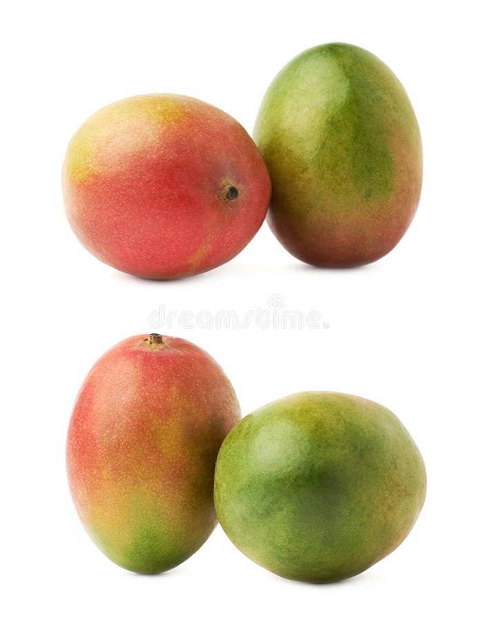 Two mango fruits isolated stock image. Image of ingredient - 57083399