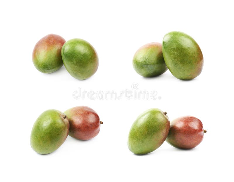 Two mango fruits isolated stock photo. Image of juicy - 92899318