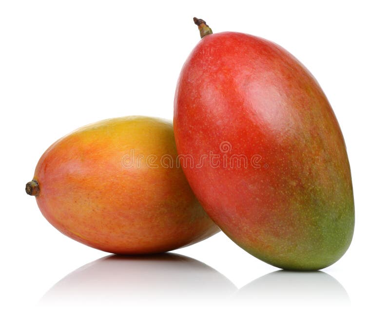 Two Mango stock image. Image of nutrition, food, path - 61546999