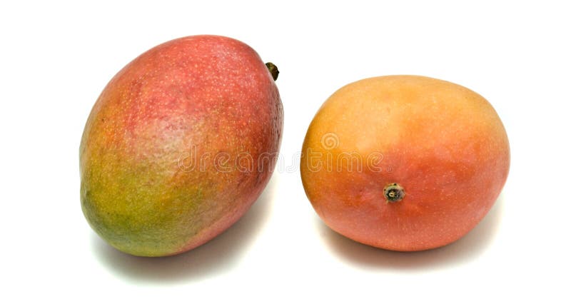 Mangoes stock image. Image of exotic, tropical, taste - 4418425