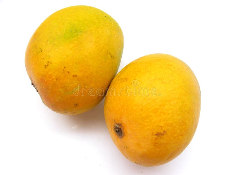 Two mangoes stock image. Image of indian, tropical, mango - 14085979
