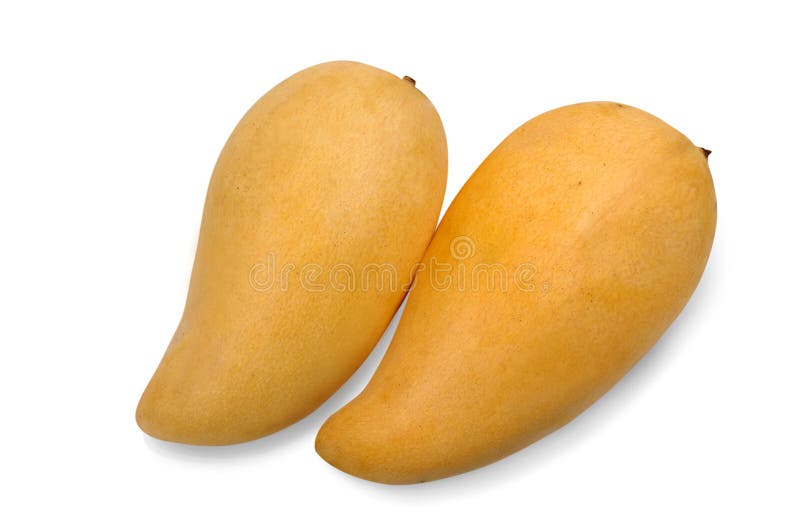 Two mangoes stock image. Image of fruit, object, freshness - 9958347