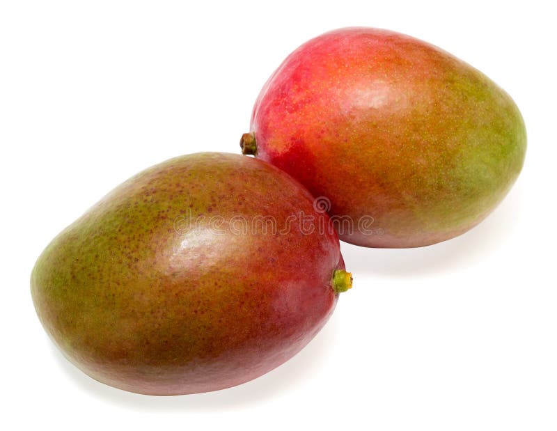 803 Two Mangoes Stock Photos - Free & Royalty-Free Stock Photos from ...