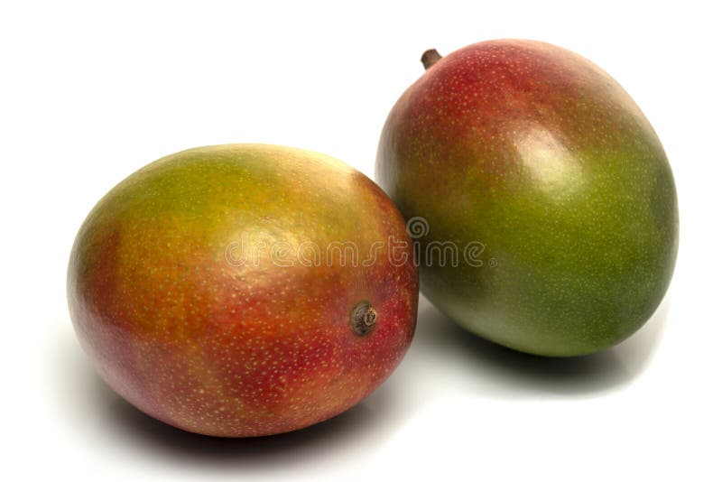 Two Mangoes Isolated on White Background Close Up Stock Image - Image ...
