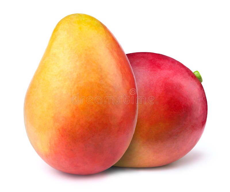 Two Mangoes with Slices Isolated Stock Image - Image of path, vertical ...