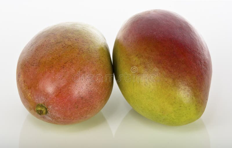 Two Mangos stock photo. Image of fresh, appetizing, ripe - 16424298