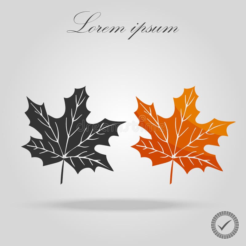 Two Maple Leaves. Autumn Maple Leaf Isolated on a White Background ...