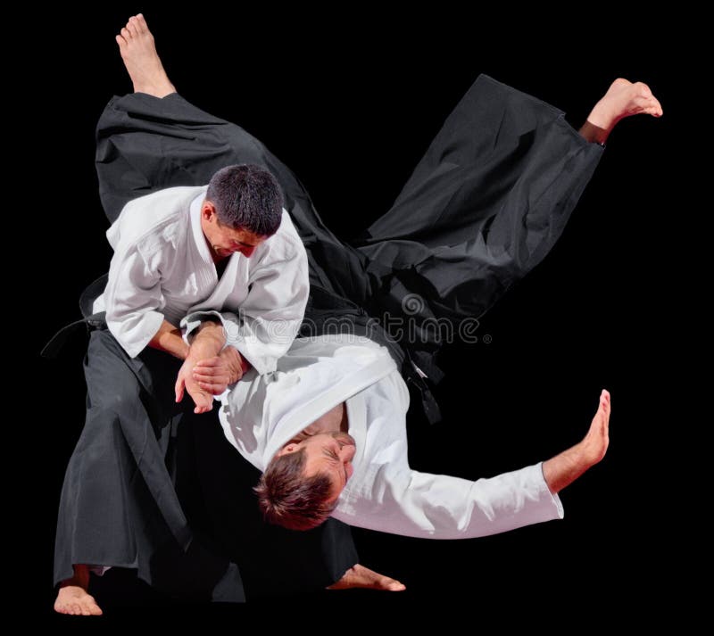 Two martial arts fighter stock photo. Image of male - 114356142