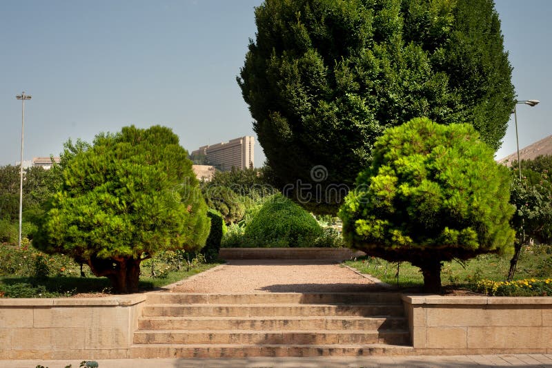 Two Mature Pine Trees in the Entrance Stock Image - Image of green ...