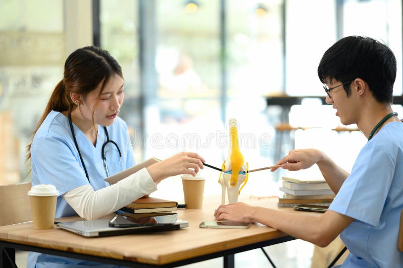 Two Medical Students Discussing Anatomy Using Skeletal Model and Taking ...