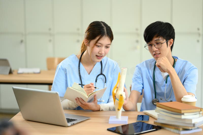 Two Medical Students Studying Anatomical Model of a Joint Together in a ...