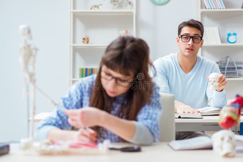 The Two Medical Students Studying in Classroom Stock Photo - Image of ...