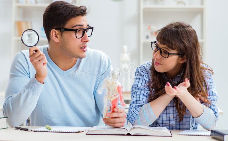 Two Medical Students Studying in Classroom Stock Image - Image of bone ...