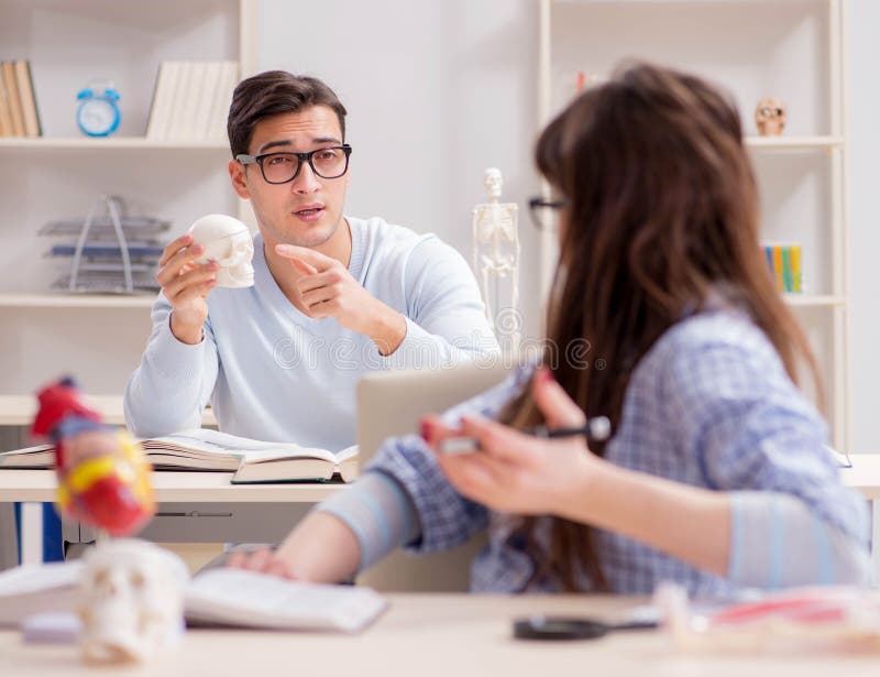 Two Medical Students Studying in Classroom Stock Photo - Image of human ...