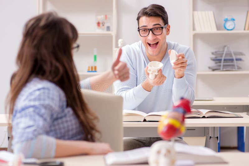 The Two Medical Students Studying in Classroom Stock Image - Image of ...