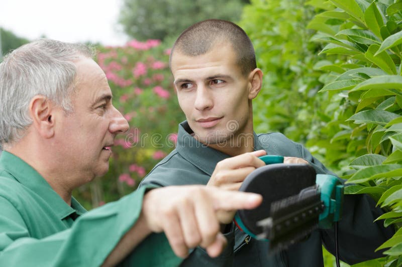Two men caring for plants stock image. Image of gardencenter - 270024293
