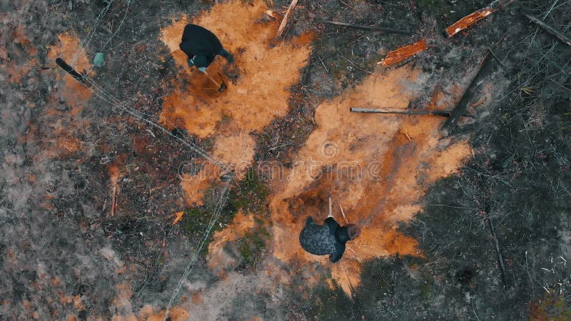 Two Men Digging the Trenches in the Forest Stock Video - Video of ...