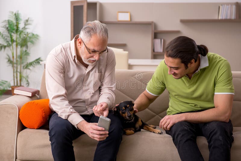 Two men with dog at home stock image. Image of animal - 216405245