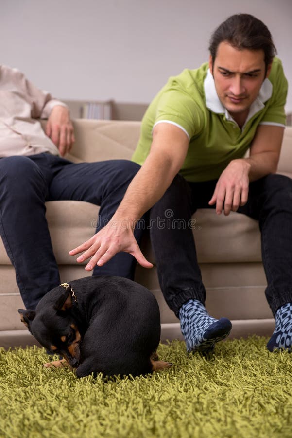 Two men with dog at home stock image. Image of carpet - 211894457
