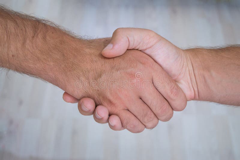 Two men handshake stock photo. Image of friendship, human - 73730396