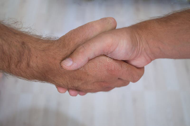 Two men handshake stock photo. Image of cooperation, human - 73730652