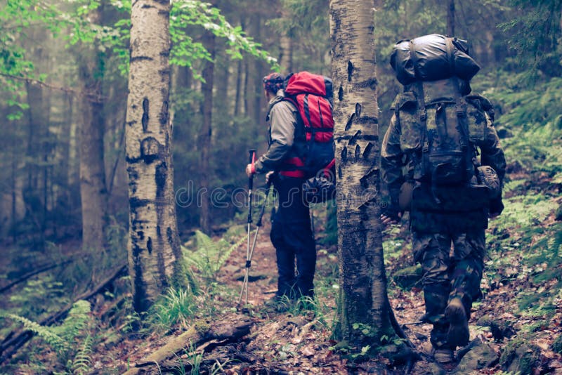Two Men Hike in Forest with Backpack for Trekking Stock Photo - Image ...