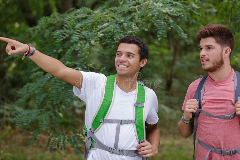 Two Men Hiking Pointing at View Stock Image - Image of outdoor, travel ...