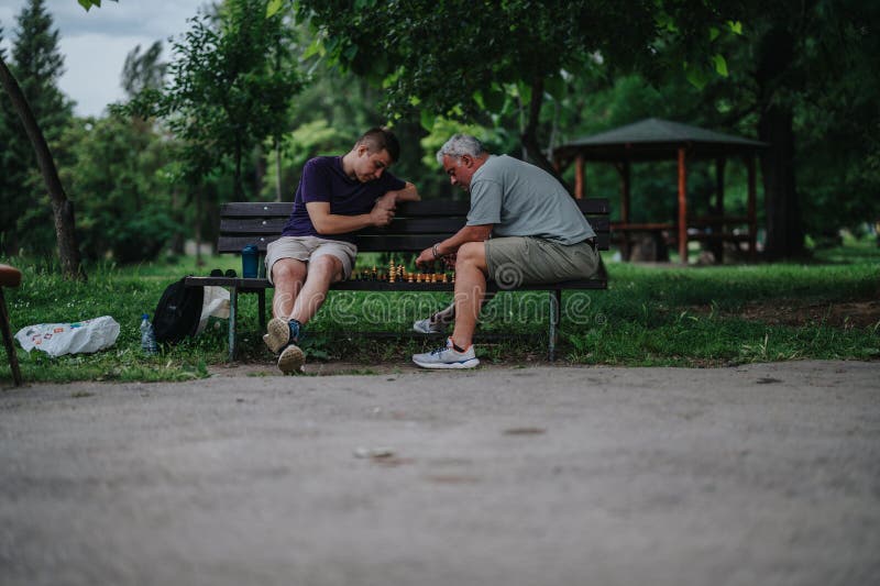 Two Men Playing Chess on a Park Bench Under Trees Stock Photo - Image ...