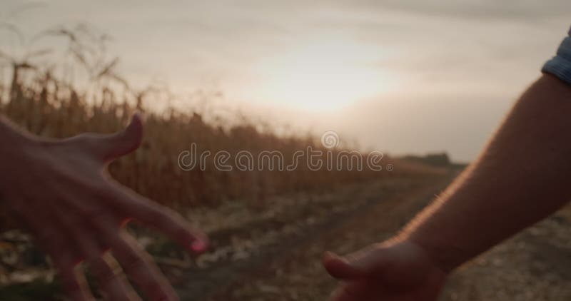 Two Men S Hands in a Strong Handshake Against the Road between the ...