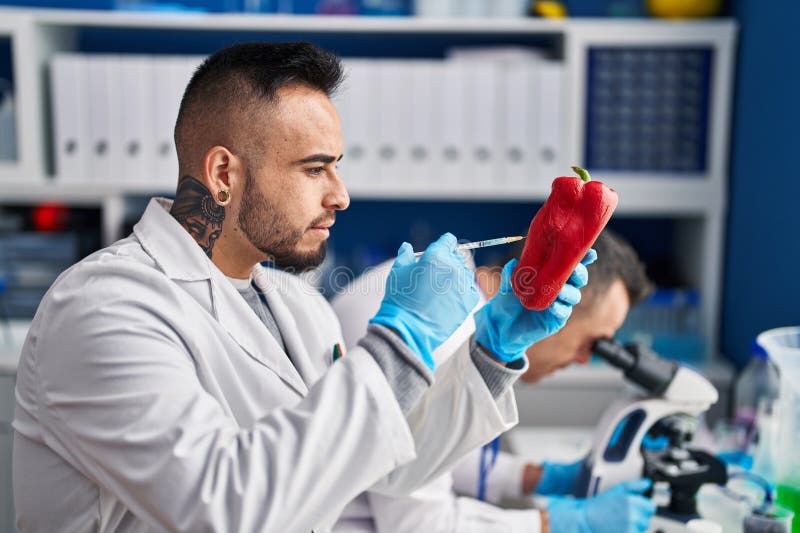 Two Men Scientist Injecting Liquid on Red Pepper Using Microscope at ...