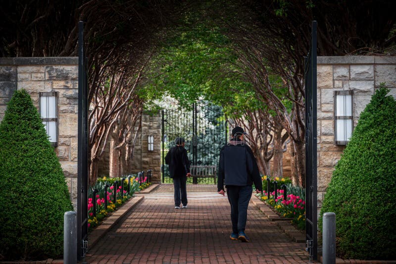 Men Strolling on Brick Path Amidst Trees and Flowers Stock Photo ...