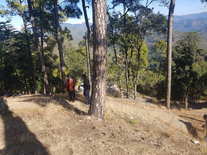 Two Men Tree Car Tree Sky Mountain Jungle Stock Image - Image of forest ...