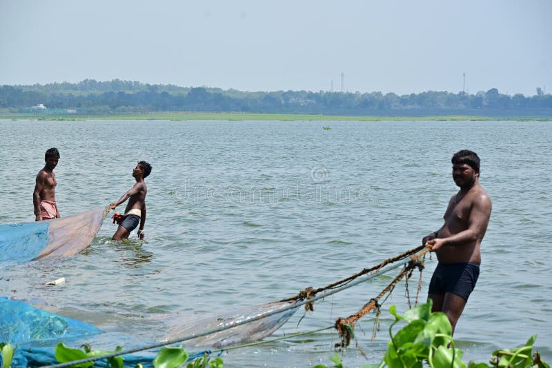 Catching Fish with the Fishing Net Editorial Stock Image - Image of ...