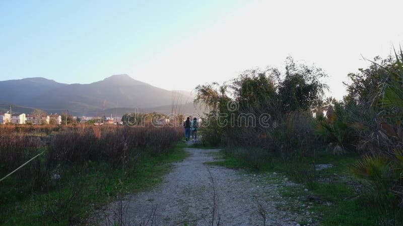 Two Men Walking in a Park Back View Stock Footage - Video of trip ...