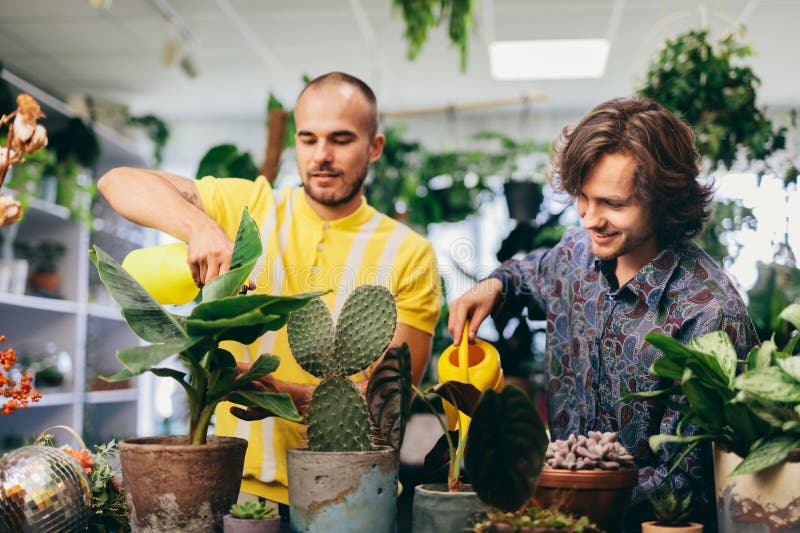 Two Men Work in Florist Shop. Stock Image - Image of shop, learn: 269428317